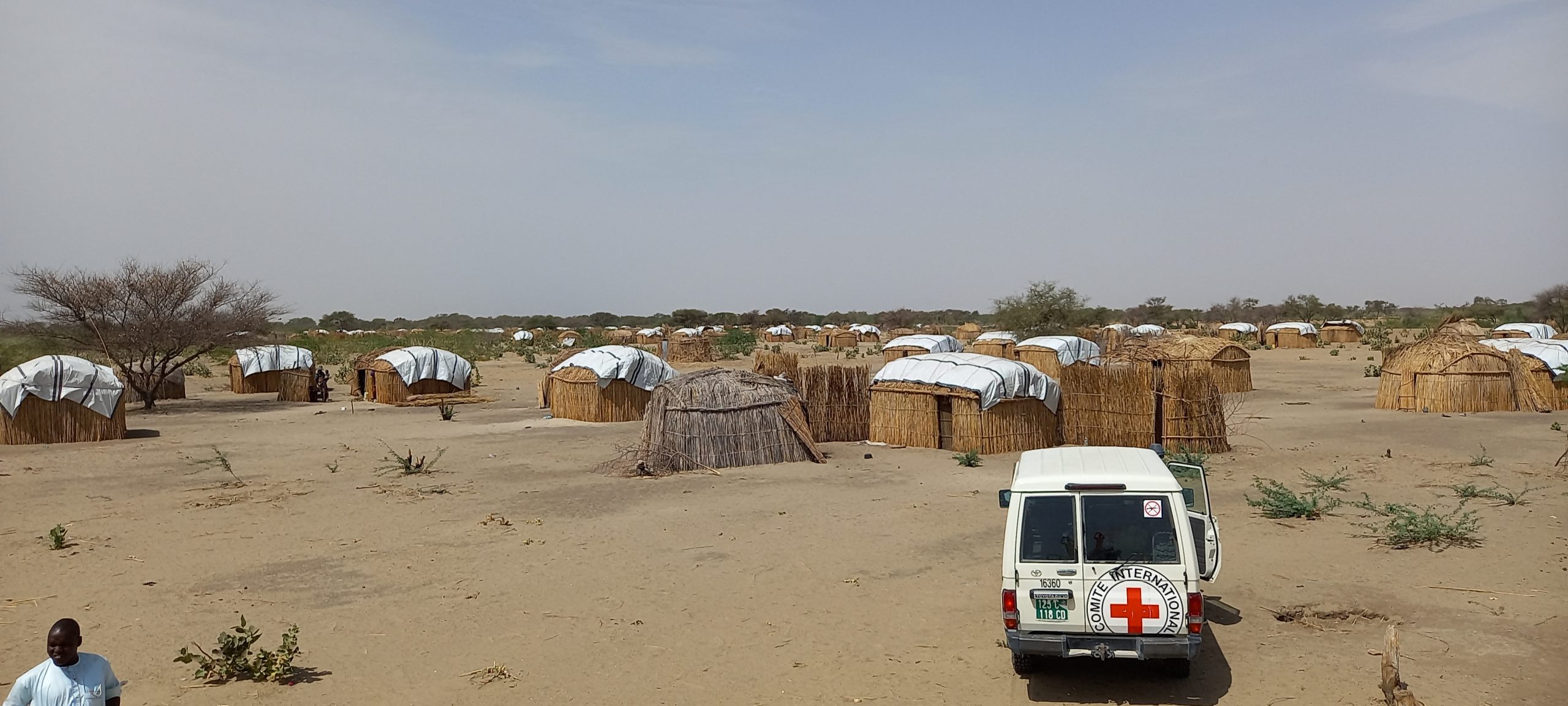 Un soutien vital aux populations déplacées du Lac Tchad - Croix-Rouge ...